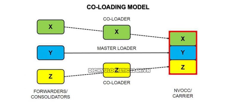 Co-loader Là Gì? Vai Trò Co-loader Trong Giao Nhận Hàng Hóa